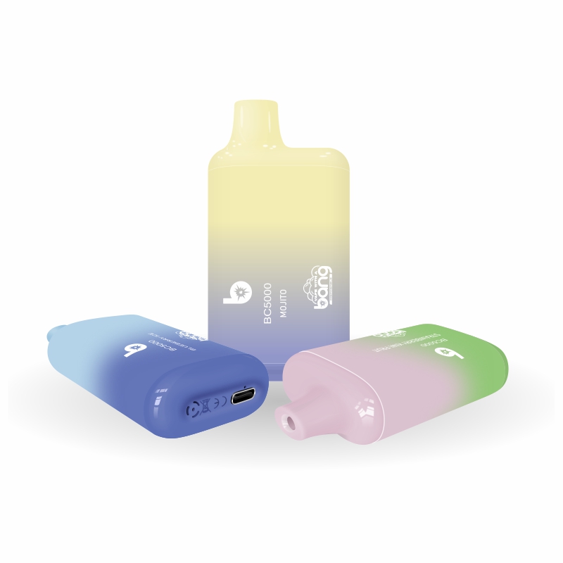BC 5000 Bang Box 5% Nic 5000 Puffs Disposable Vape Pen Type-C ...